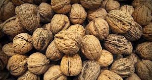 cadalso vive: atentos a las nueces...