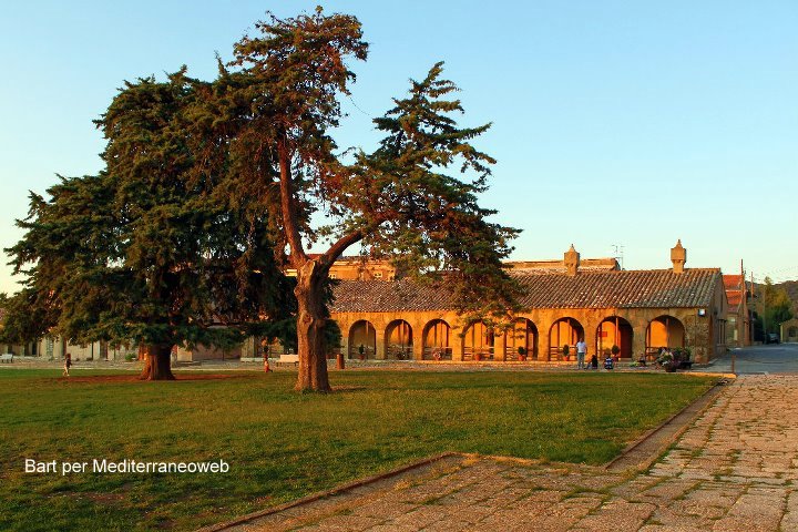 BOSCO DELLA FICUZZA ....riserva naturale orientata