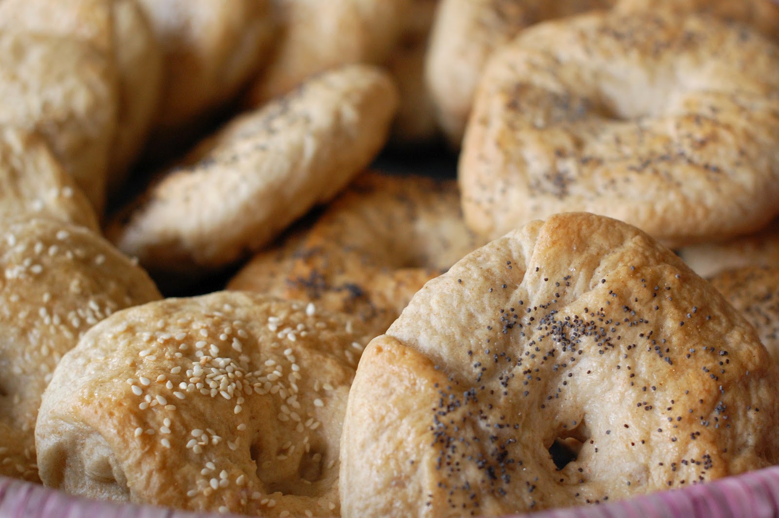 Sugar and Spice and Everything Nice: bagles