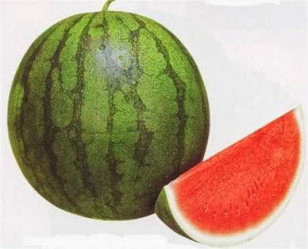 Bukan pandai tapi memandai.....: TEMBIKAI & KHASIATNYA