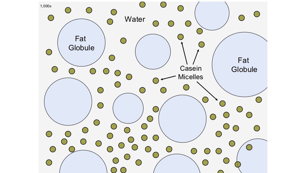 Mr. Di Croce's St. Simon Blog est. 2012: Oct. 8 2015