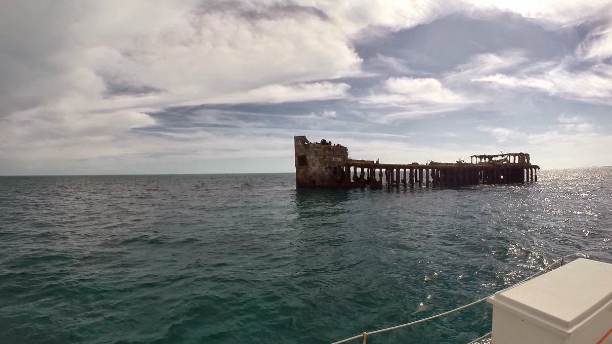 Catchin' Rays: A Day and Night spent at Gun Cay, Bahamas