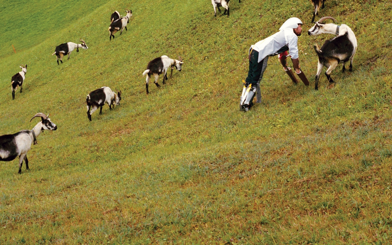 Edinburgh and Us: Thomas Thwaites’ account of becoming GoatMan ...