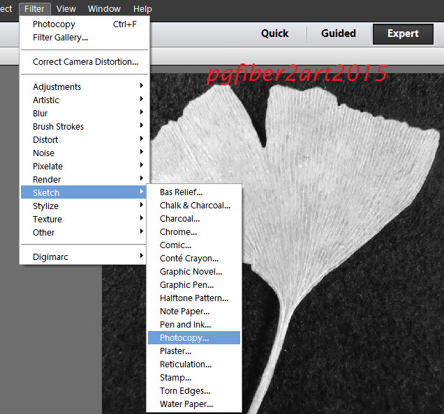 PG Fiber2Art: From Photo to Thermofax Screen