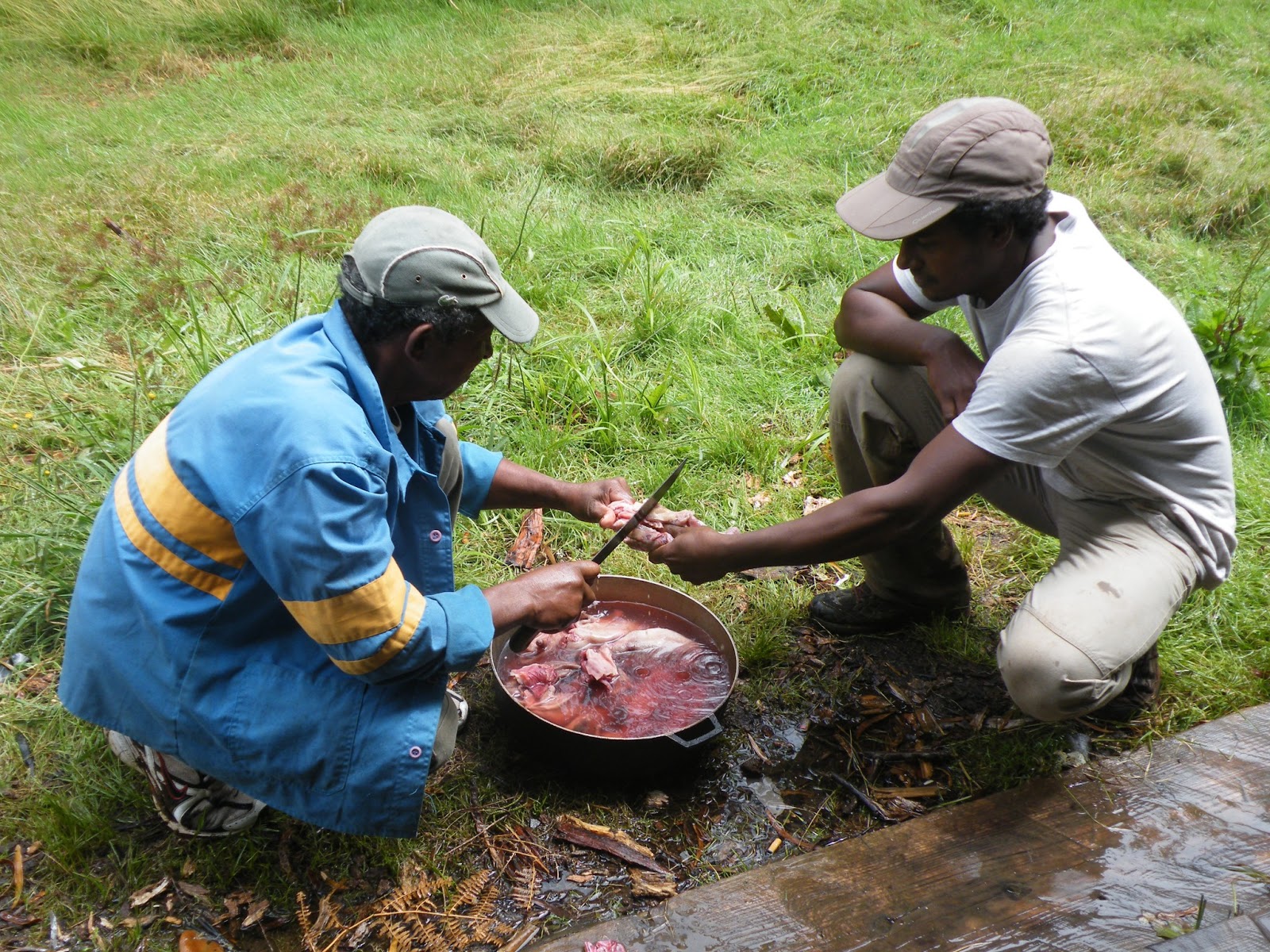 koman y lé: Cari Tangue