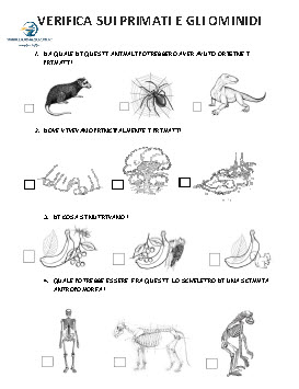 Giochiecolori.it - Maestro Fabio : I PRIMATI, LE SCIMMIE ANTROPOMORFE E ...