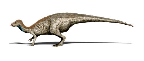 Paleoexhibit: July 2011