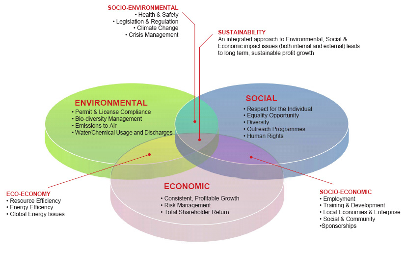 CR181 History Blog Assessment: Sustainability