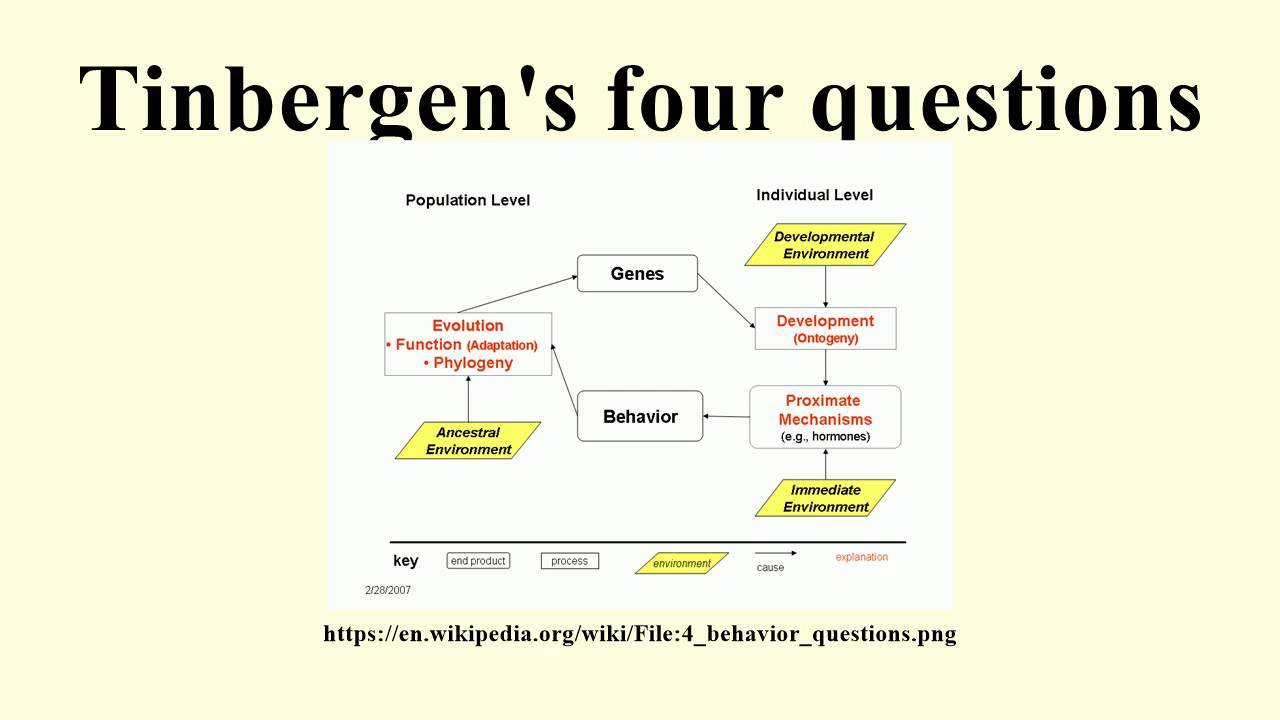 Tinbergen's four questions