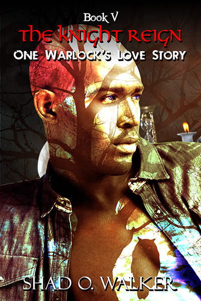 Havan's Heavenly Haven: Book Blast: The Knight Reign @Shad_O_Walker ...