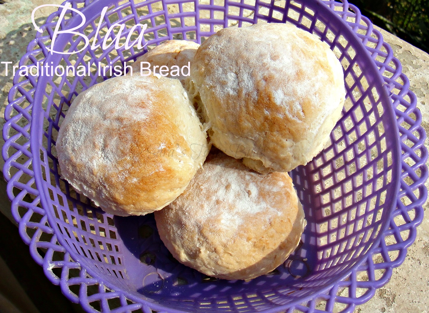 SARA'S TASTY BUDS: Blaa / Irish Blaa #BreadBakers