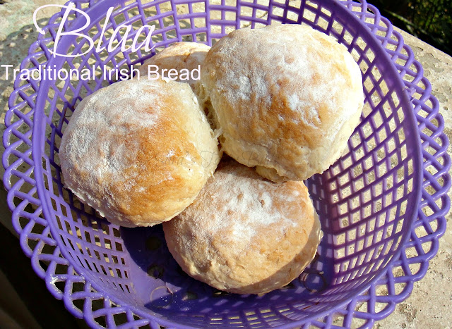 SARA'S TASTY BUDS: Blaa / Irish Blaa #BreadBakers