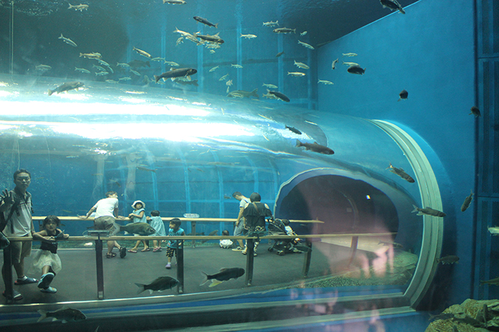 Zoos in Japan: Lake Biwa Museum