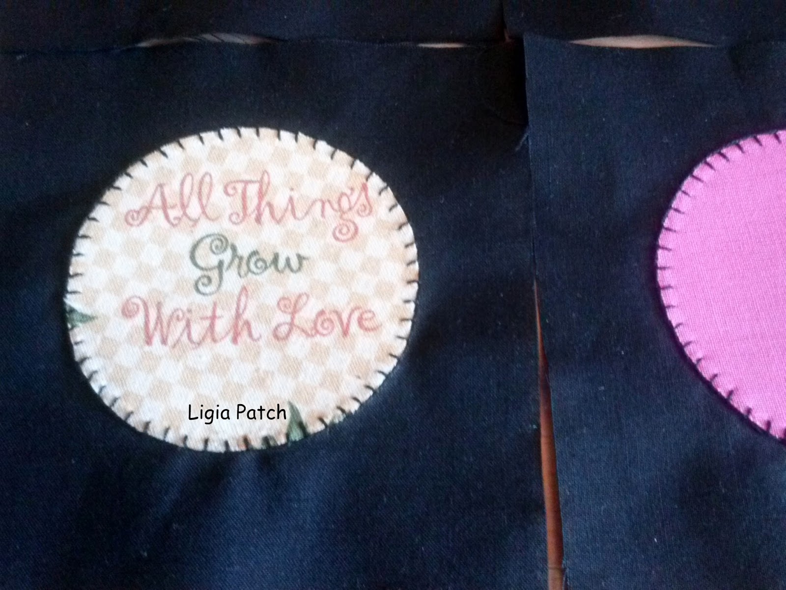 Ligia Patch: QUILT 365 (3)