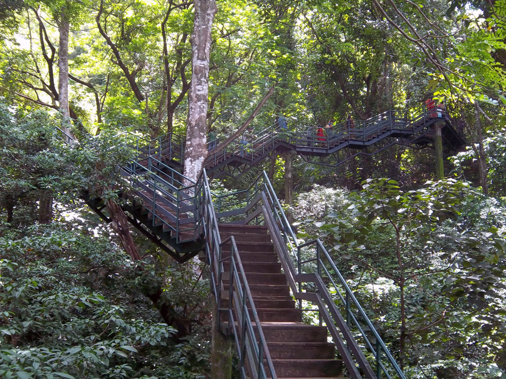[nidokidos] CANOPY WALK - THENMALA ECO TOURISM CENTRE - Fun and ...