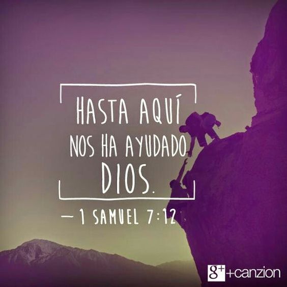 Elim: el oasis de Eva: "Hasta aquí el Señor nos ha ayudado" (Adiós 2016)