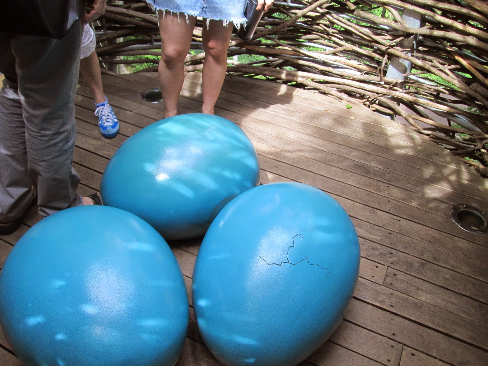 The Belle of Cowbell: The Bipolar Therapist from Willow Grove, PA: I ...