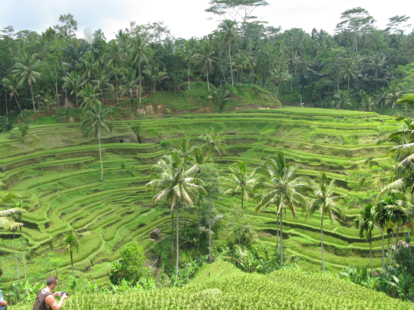 Janice Lincoln Fine Artist, Holding the Spirit: 2012