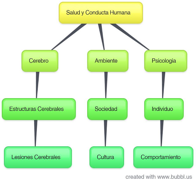Salud y Conducta Humana: mapa conceptual