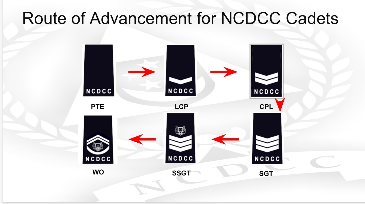 Edgefield Secondary NCDCC: Badge Framework and ranks