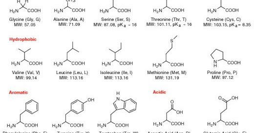 World of Biochemistry (blog about biochemistry): Standard and non ...