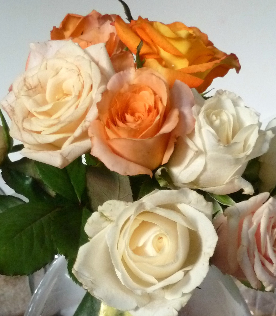 My Sweet Mauritius: JACK'S ROSES ....