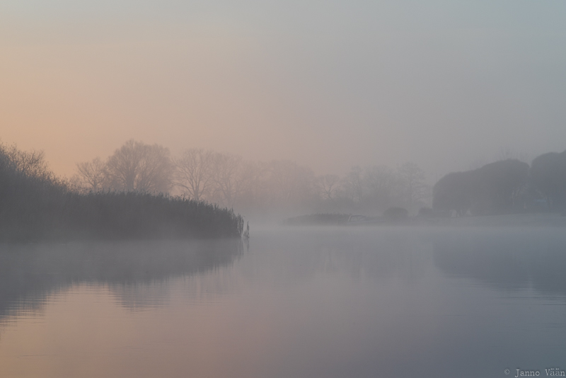 Janno pildileht: Udune hommik