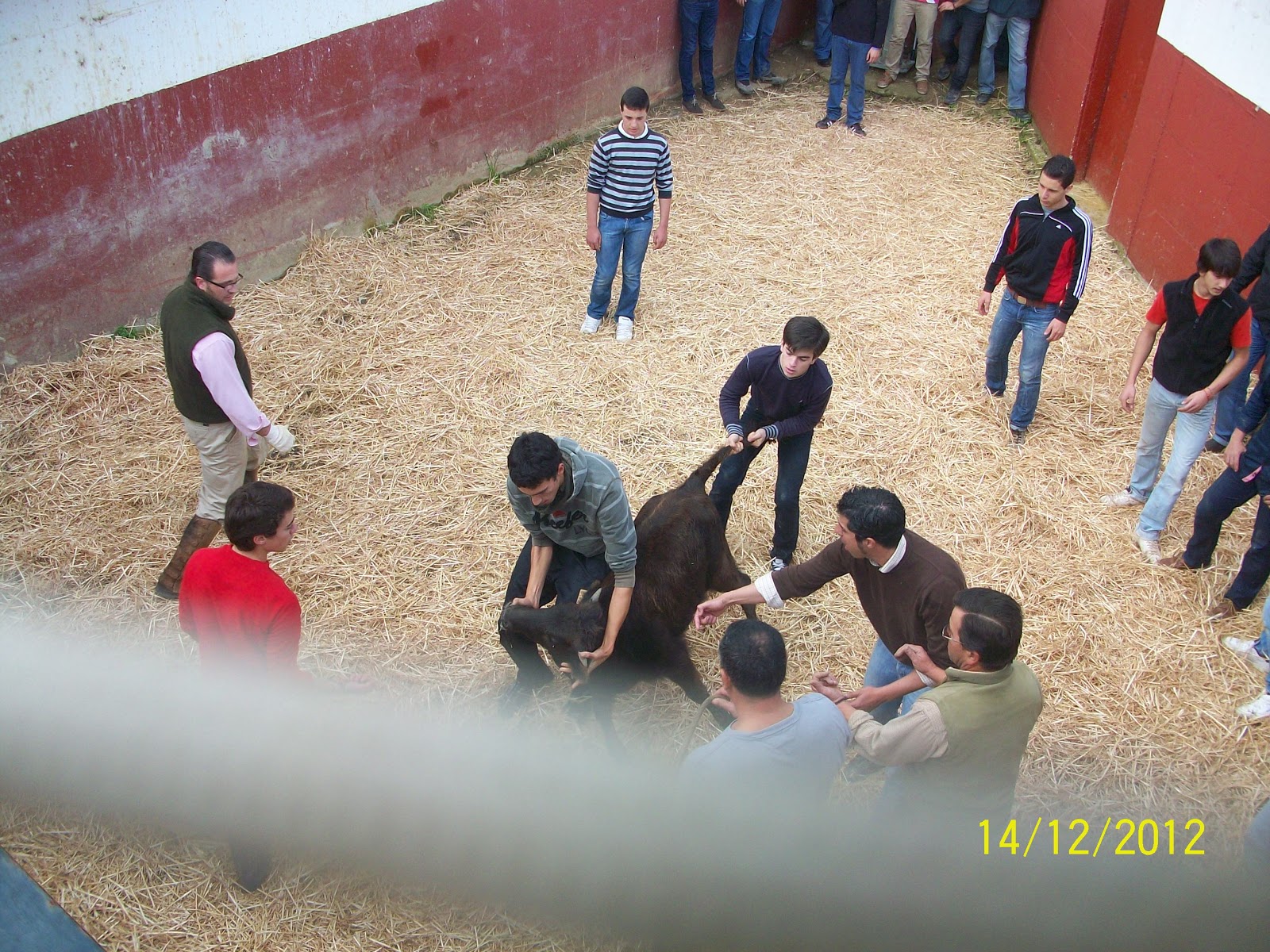 Blog Taurino Remellao : HERRADERO EN LOS BARRIOS