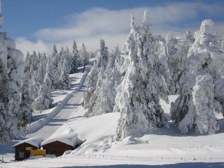 Αμαν και ποτε: Ελατοχωρι Πιεριας 17-2-2012