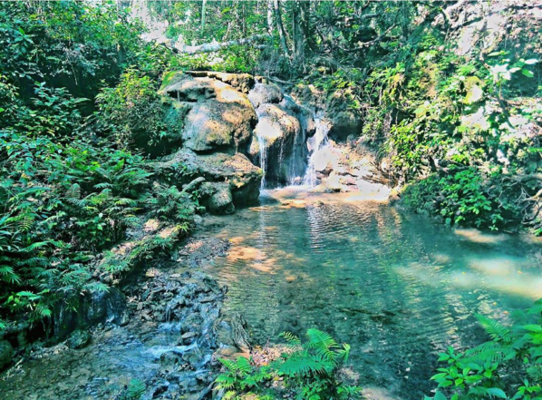 EL PARQUE NACIONAL TEREPAIMA ~ Proyecto Cultural Sarao