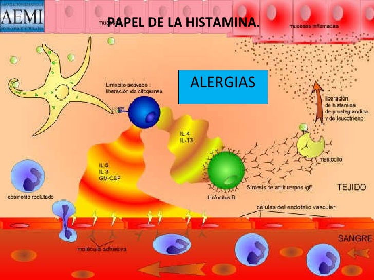 Nutrirse y alimentarse en una vida saludable