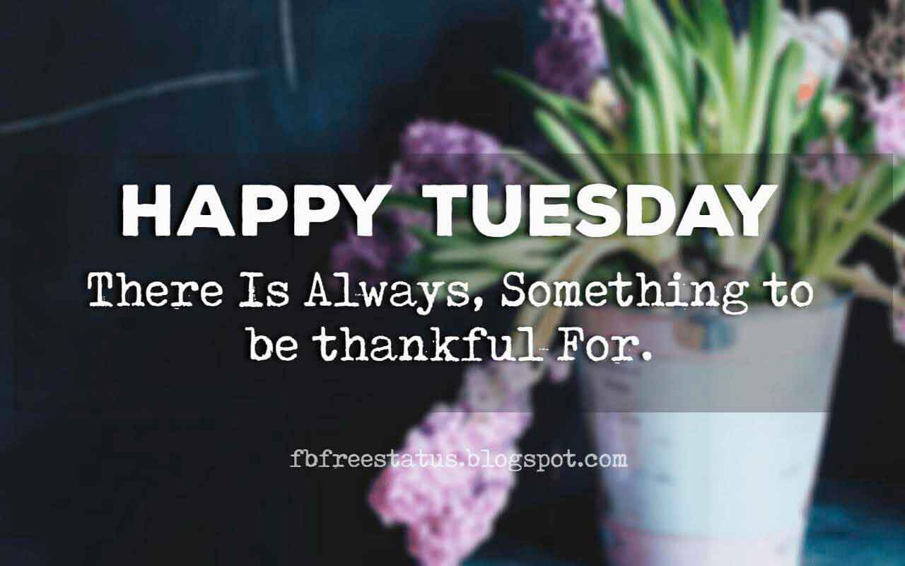 Happy & Funny Tuesday Quotes With Images, Pictures