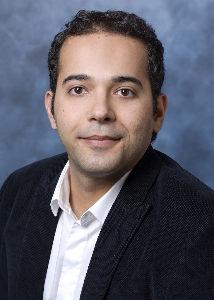 principal investigator