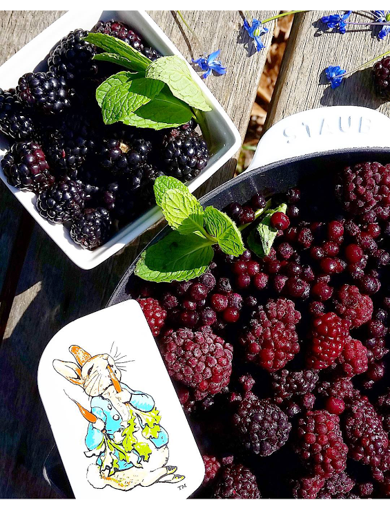 Blue & Blackberry Bramble!