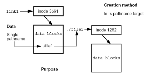 Information Technology Lessons: Unix file type