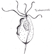 Atlas parasitología biologia sanitaria