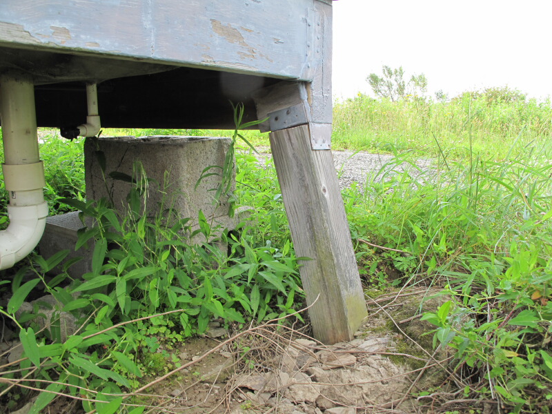 The Joyce Road Neighborhood: This Year's Cabin Project