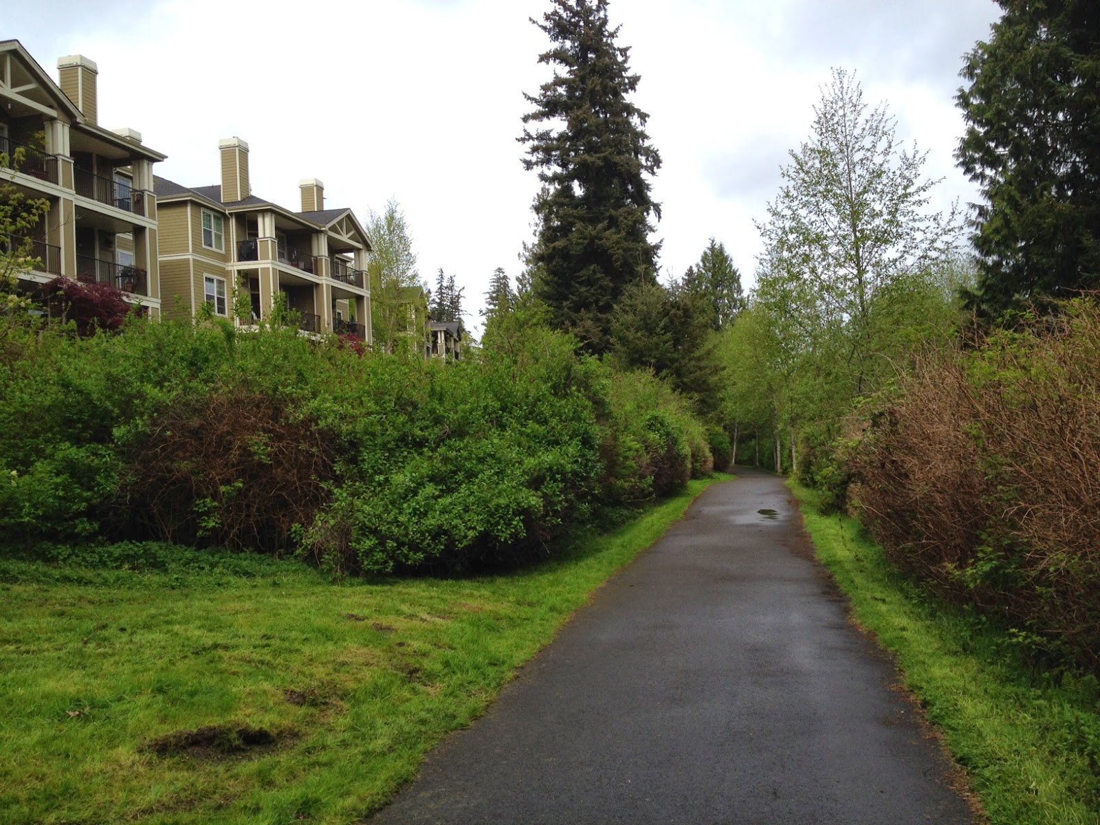 The Pacific Northwest Casual Cyclist: The East Plateau Trail: Trail to ...