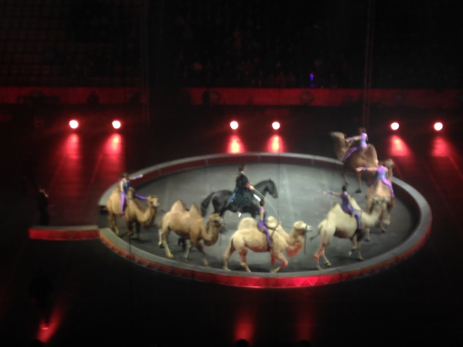 Showbiz David: From Luray VA: Niece Lisa Reviews Ringling's CIRCUS ...