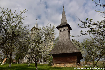TUDOR PHOTO BLOG: Maramures Inflorit,Maramures Flourished,Romania,Europe