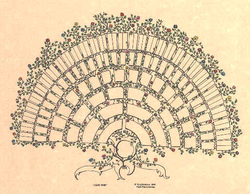 Fahrbach/Barela Family History