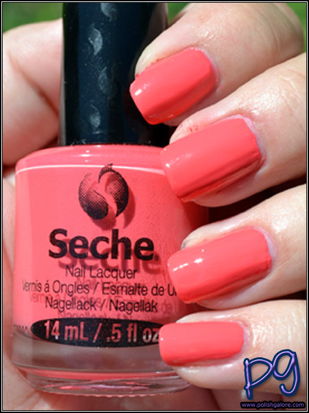 Seche Wild One - Polish Galore