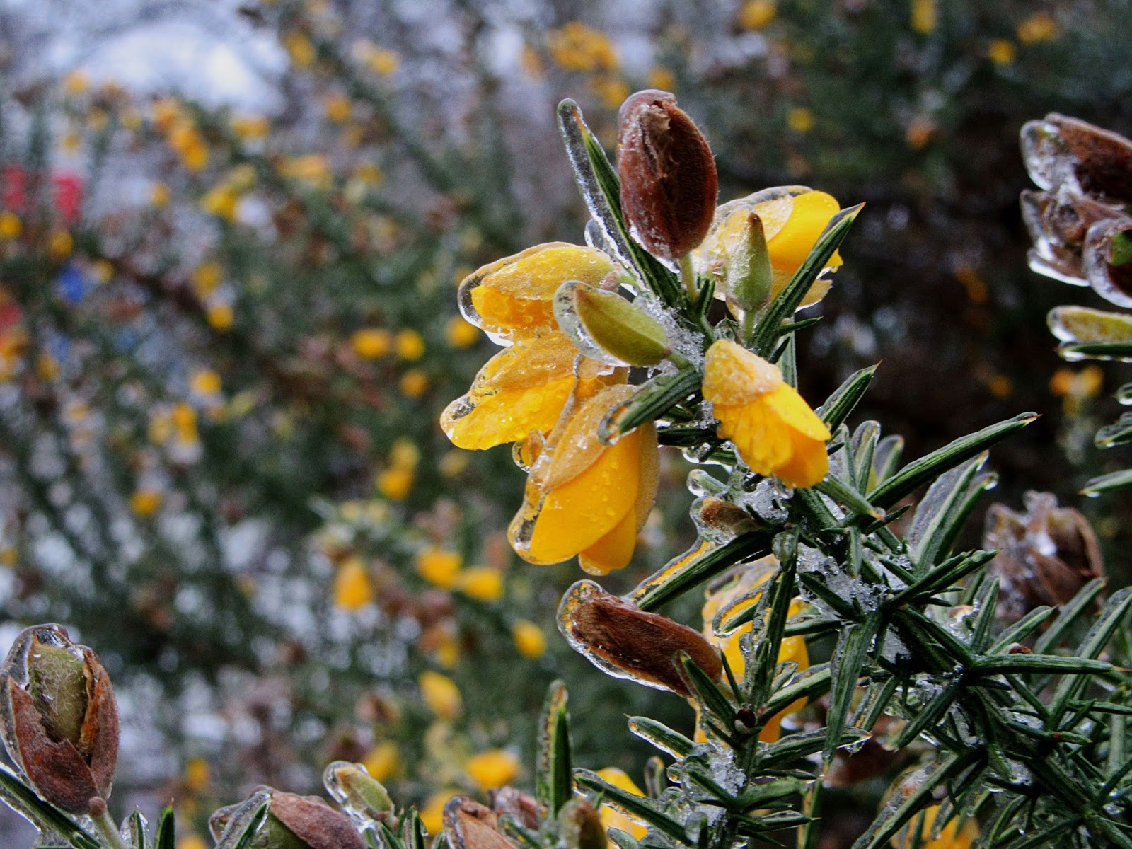 Moments, frozen in time ♡: The First Snow