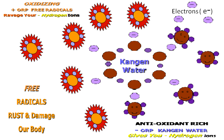 Molecular Hydration By Using The Right Kind Of Water.: Negative ORP ...