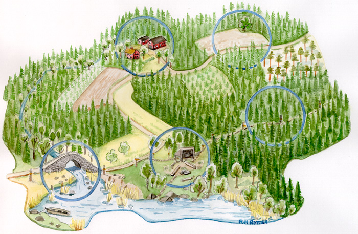 SLOTTESKOG: 1.4 HÄNSYN