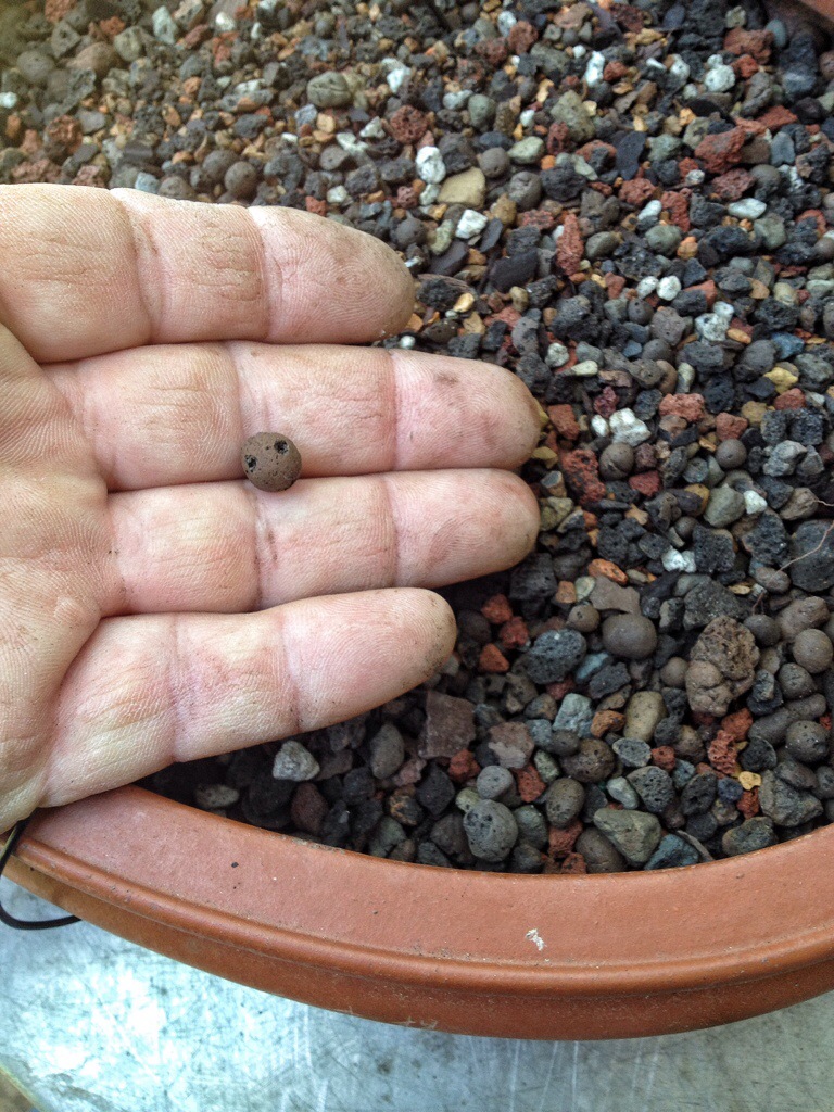 Lightweight Aggregates in India