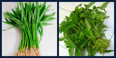 Inilah 10 Khasiat dan Kandungan Kangkung Bagi Kesehatan - Resep Sepuh