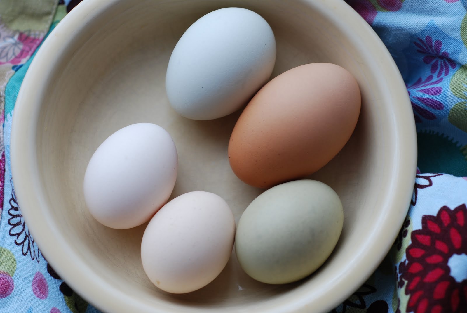 Calico Hen: March 2011