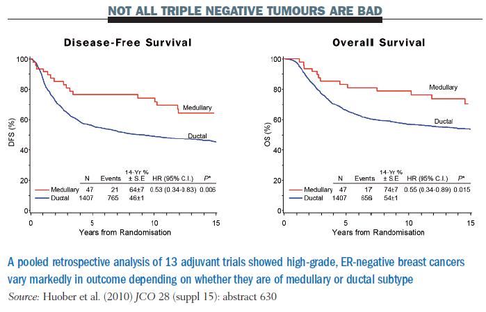 Triple Negative Breast Cancer, "I Won't Back Down!": TNBC Statistics