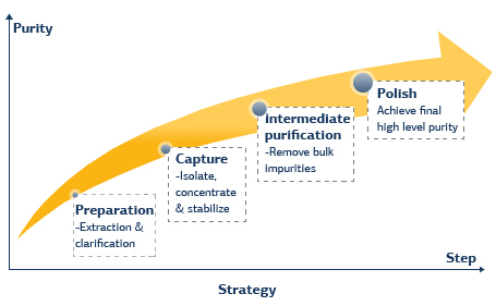 Biochemistry Class notes: Protein separation techniques: Protein ...